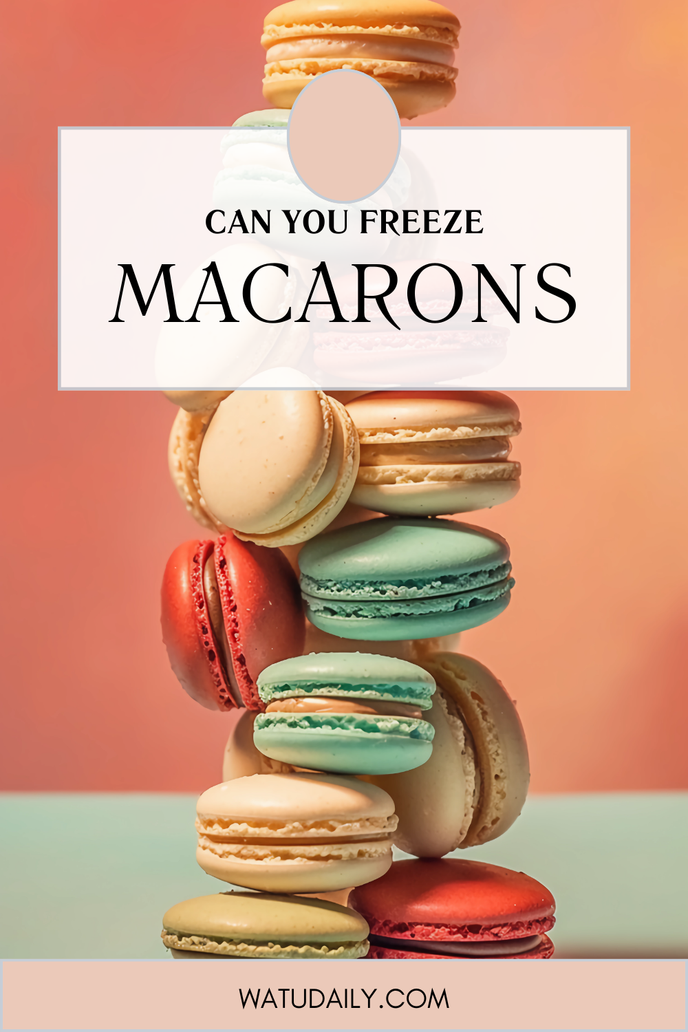 Can You Freeze Macarons? Tips On How To Store Them Right
